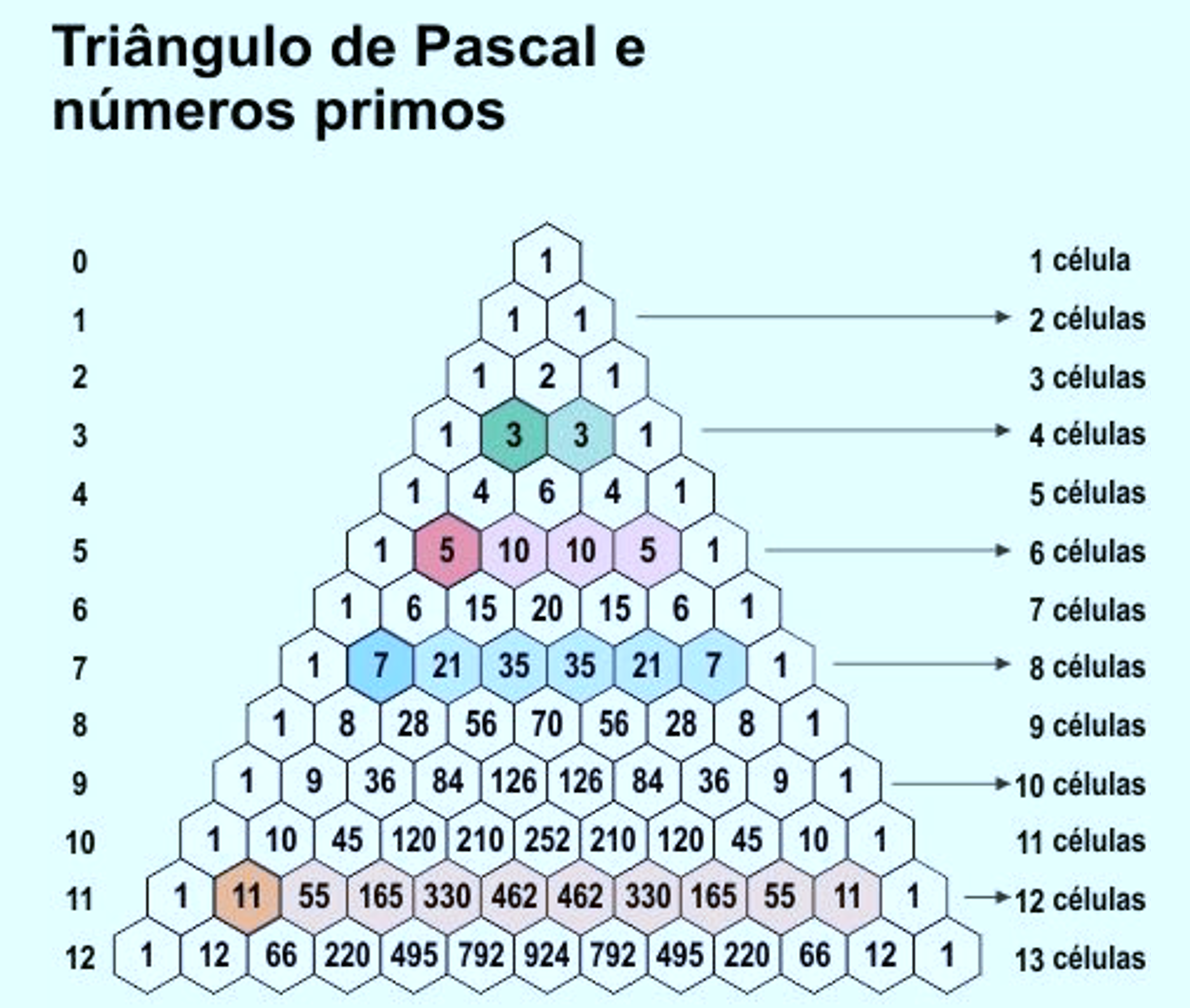 Blaise Pascal e a Teoria das Probabilidades: Uma Revolução Matemática